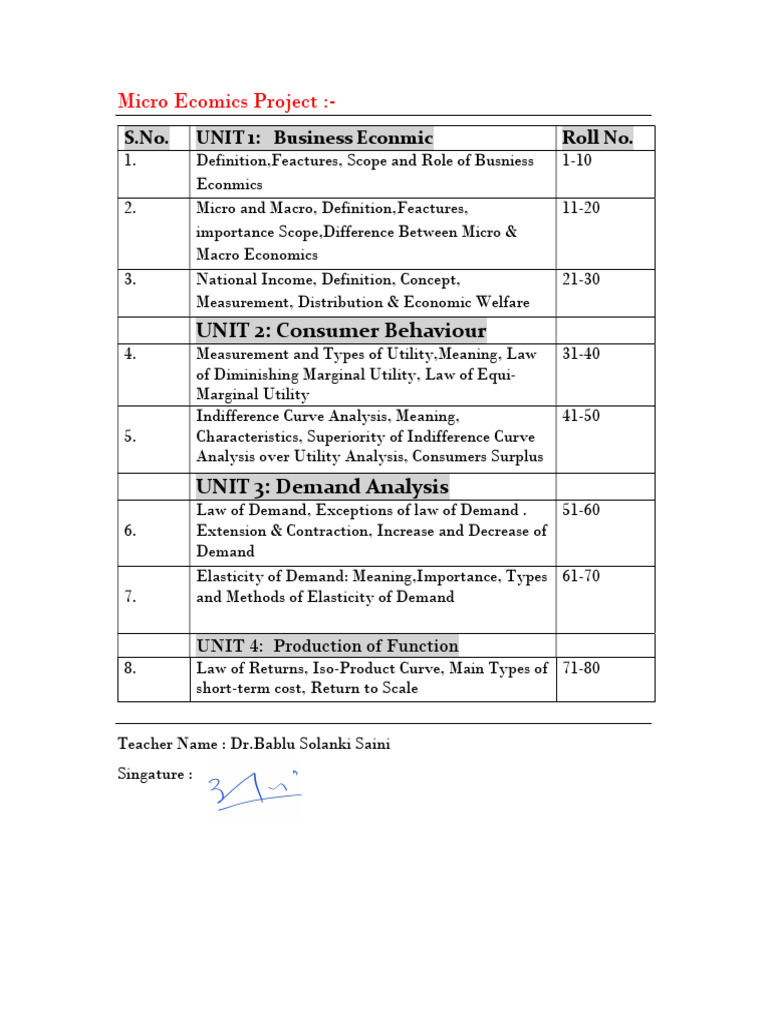 Micro Economics Project Overview | PDF