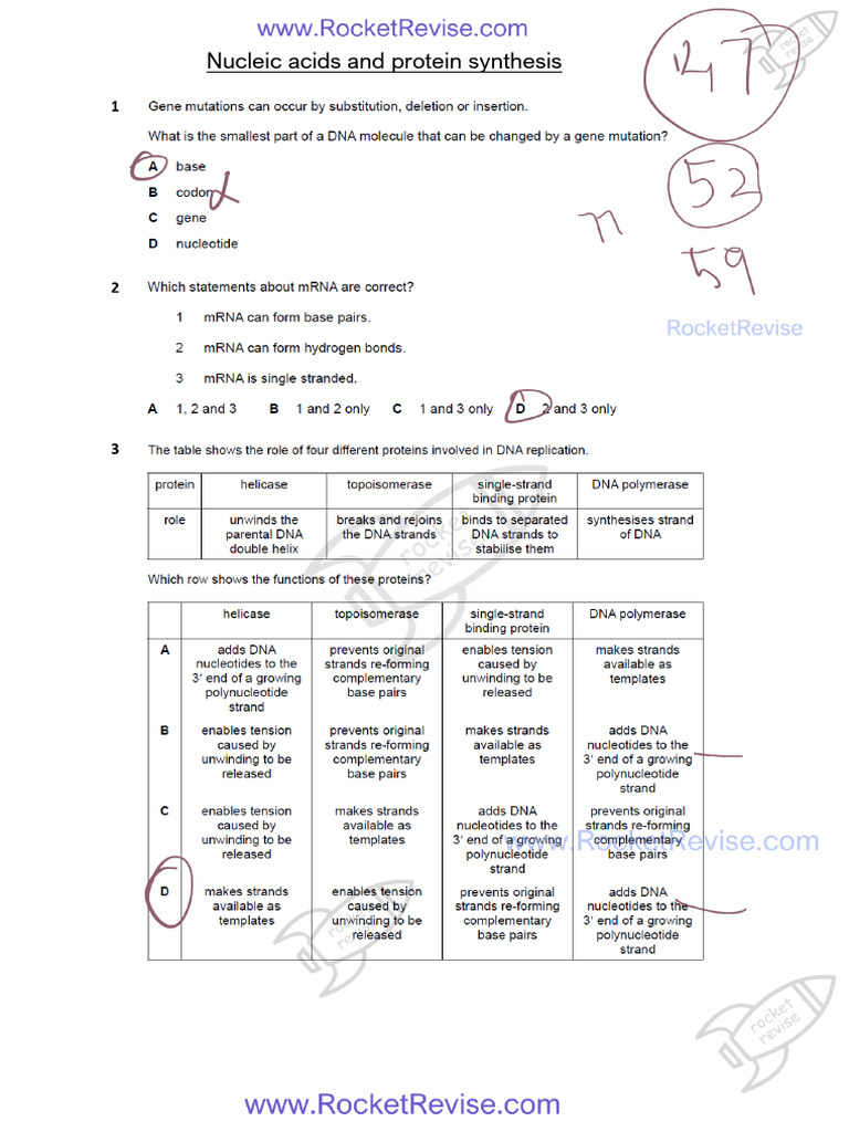 6 Nucleic Acids and Protein Synthesis QP | PDF
