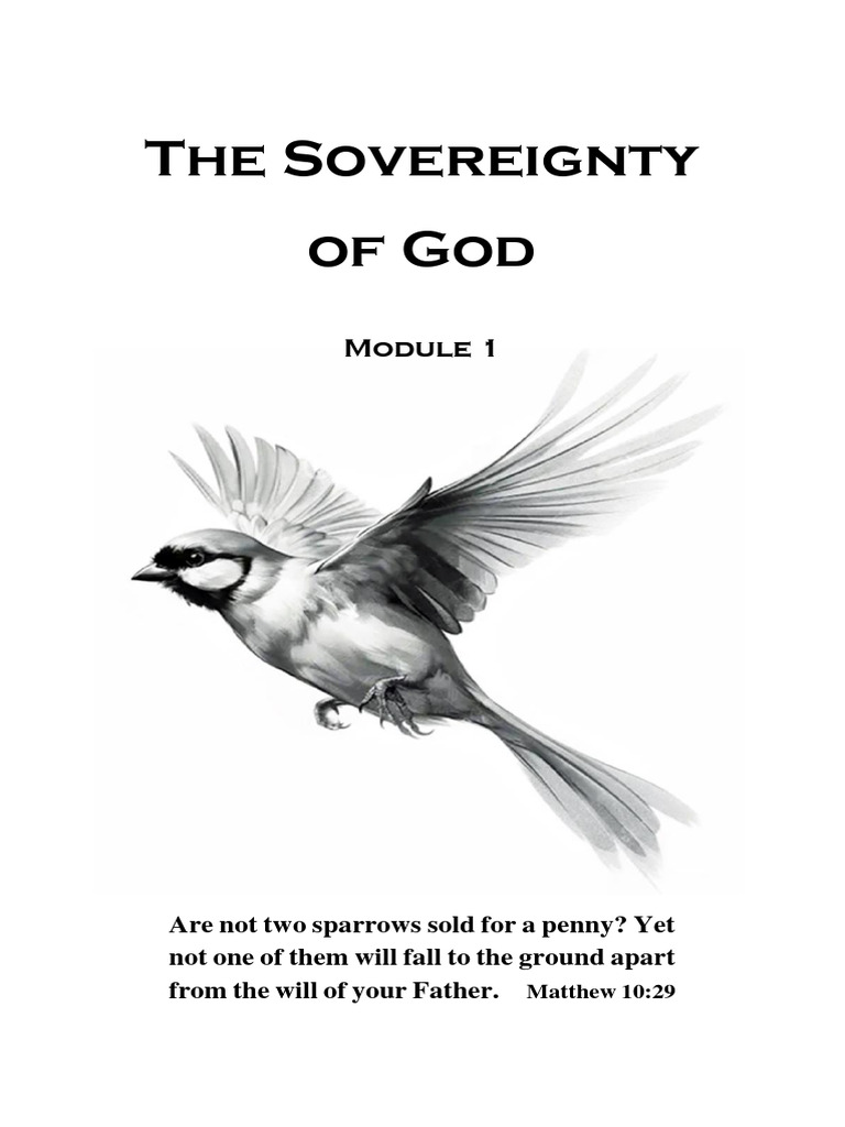 Understanding God's Sovereignty | PDF | New Testament | Jesus