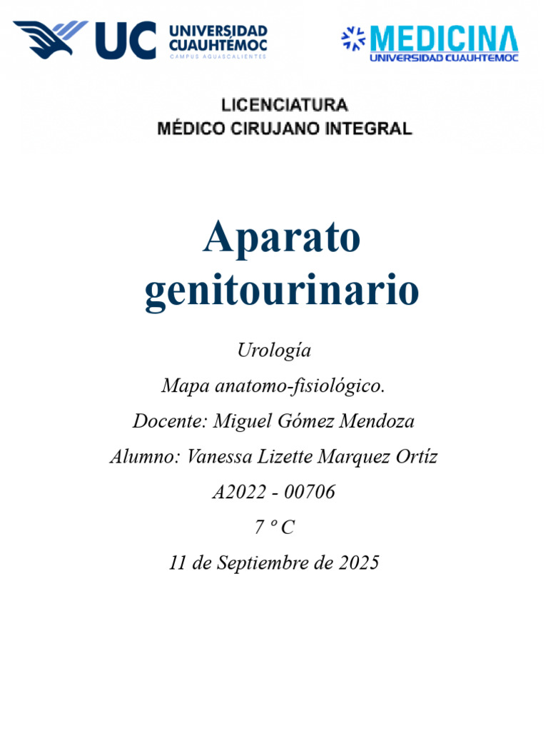 Mapa Fisiológico del Aparato Genitourinario | PDF