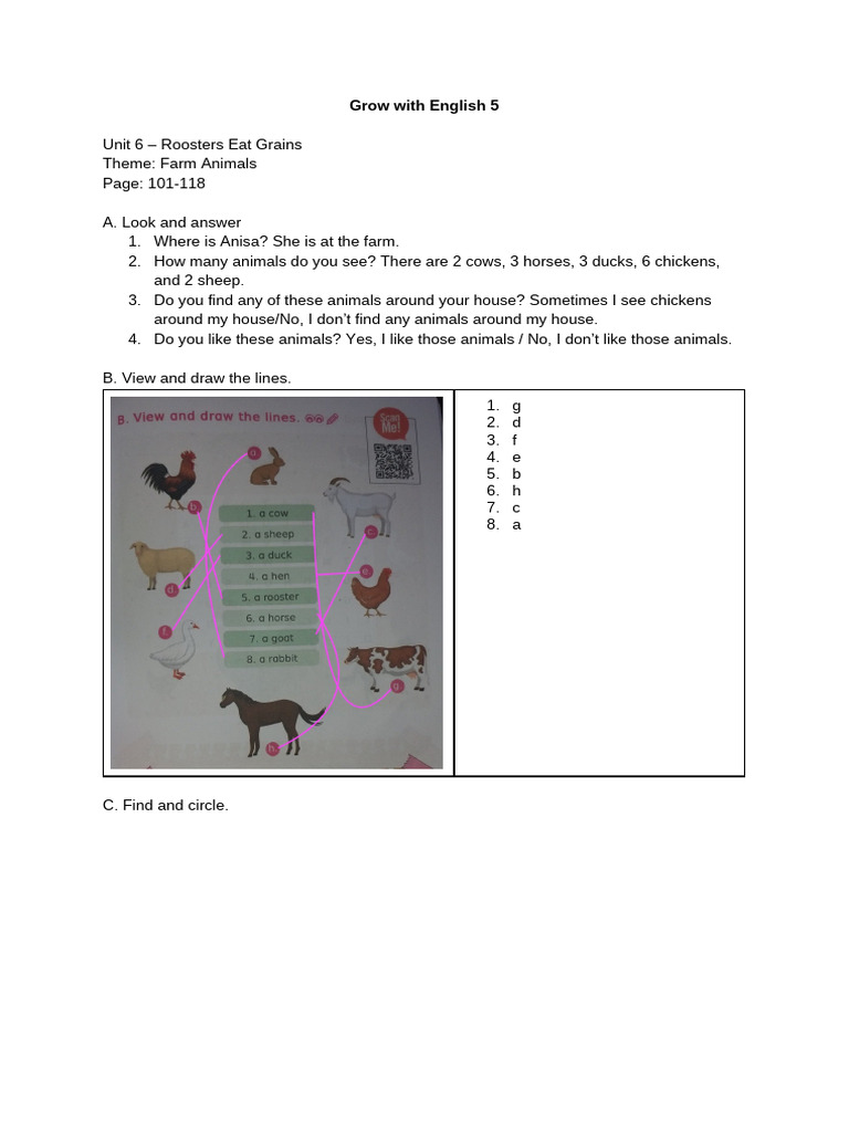 Farm Animals: Roosters and Grains | PDF | Chicken | Sheep