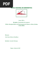 Instrumentos Musicais Indígenas Brasileiros | PDF | Etnia
