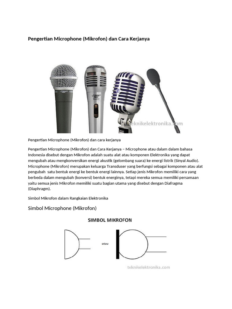 Mikropon Speaker | PDF