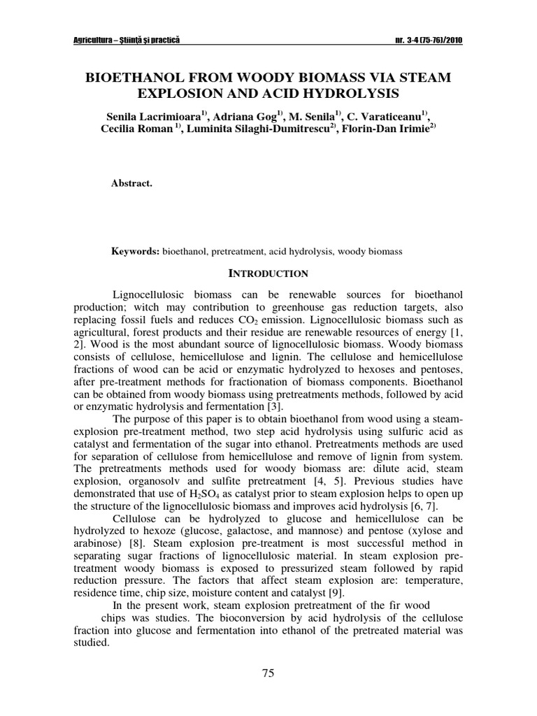 Bioethanol From Woody Biomass Via Steam | PDF | Chemistry | Renewable Fuels