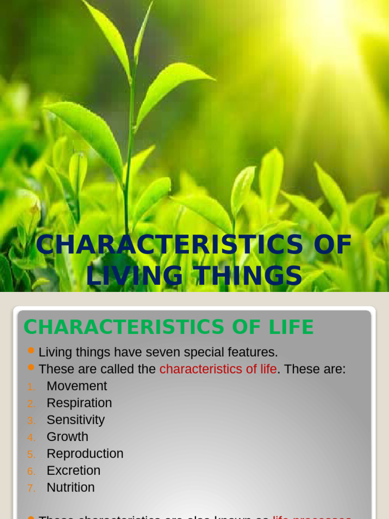 Characteristics of Living Things | PDF | Plants | Cellular Respiration