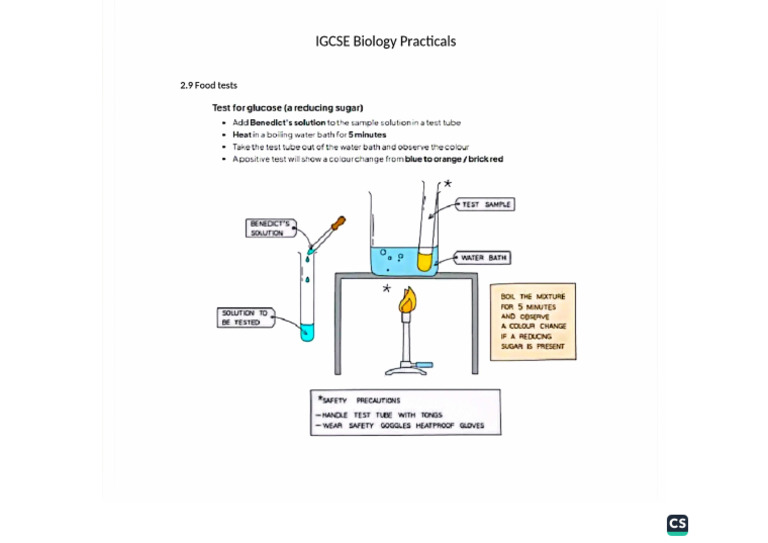 Biology Practical 1 | PDF
