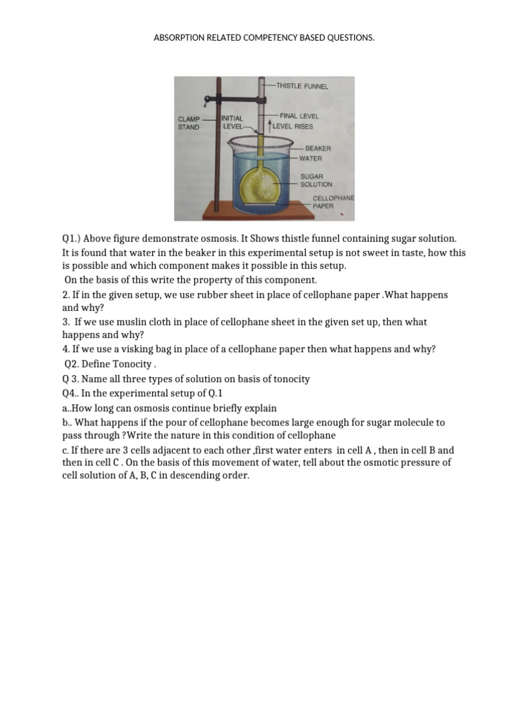 Absorption Competency Questions Explained | PDF