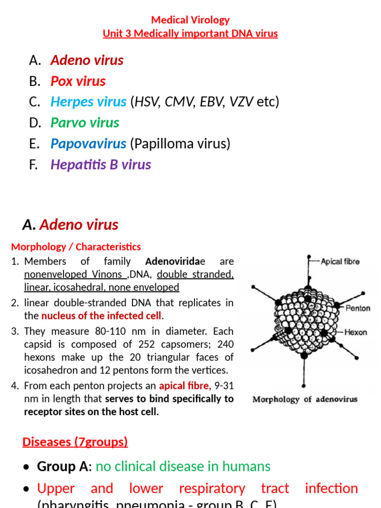Medical Virology Unit 3 | PDF | Virus | Hepatitis B