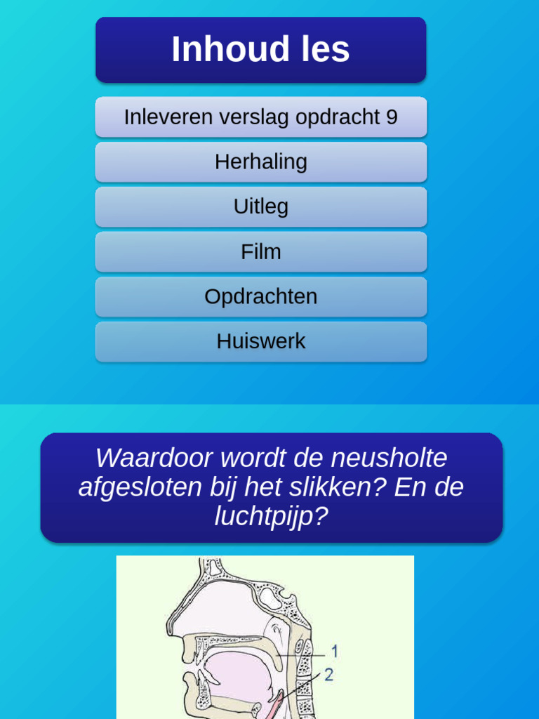 PPT Leskaart 2 Spijsvertering Van 12-Vingerige Darm Tot Anus | PDF