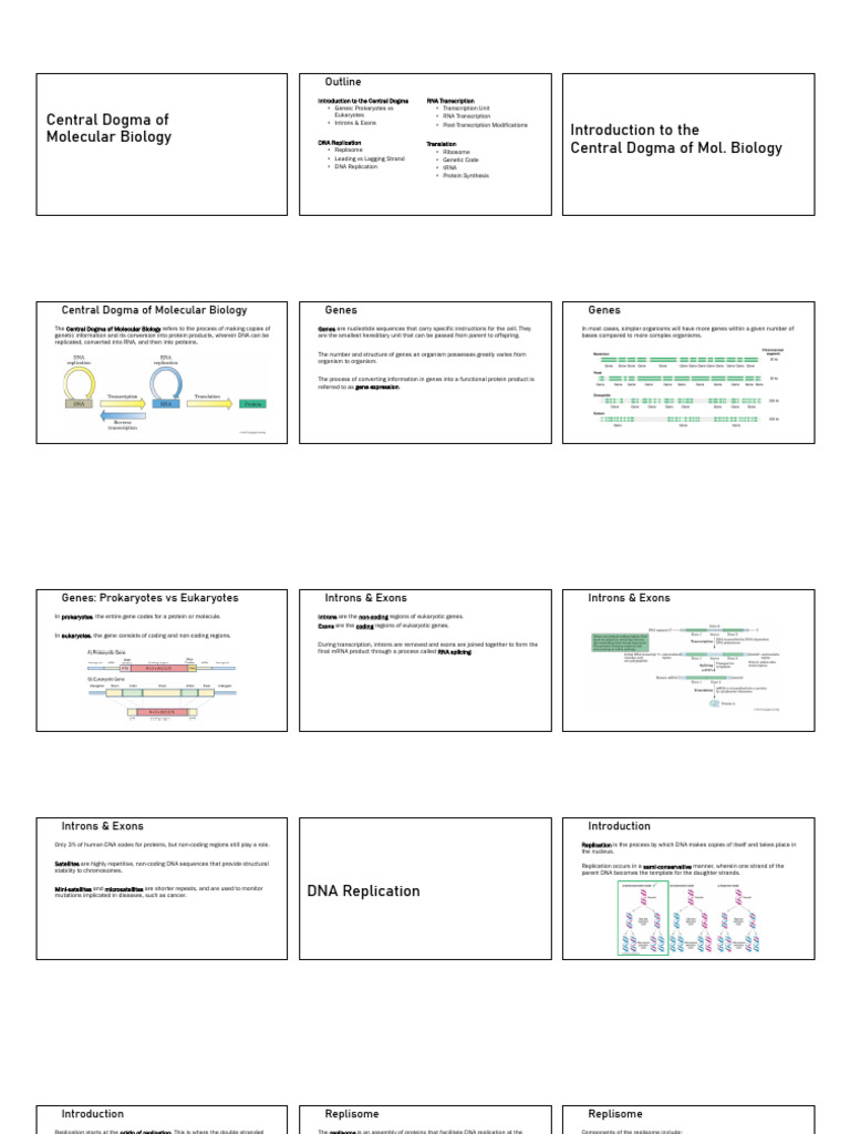 Module 6 Central Dogma of Molecular Biology | PDF | Dna Replication ...