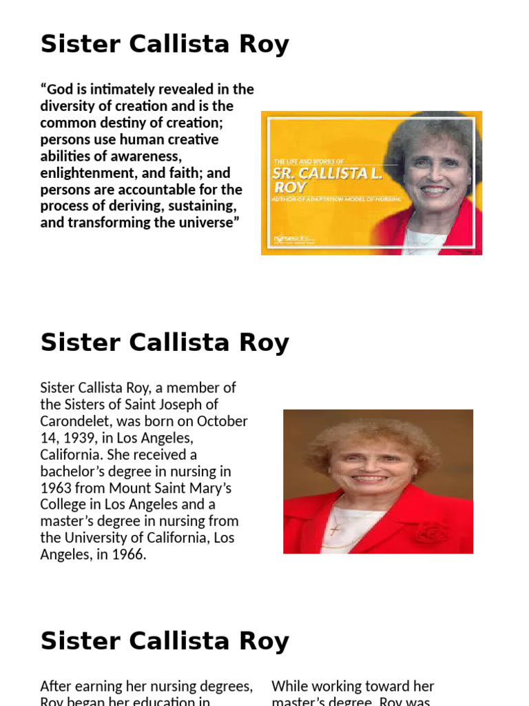 (15) Sister Callista Roy | PDF | System | Learning