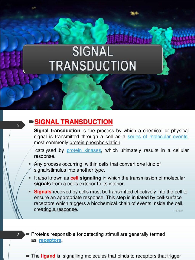 Signal Transduction Mechanism | PDF