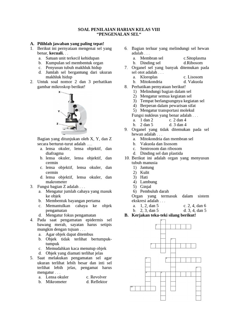 SOAL PENILAIAN HARIAN Sel terbaru KELAS VIII | PDF