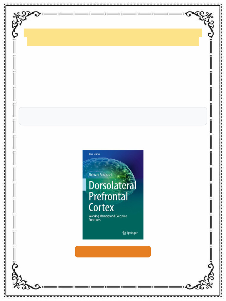 Dorsolateral Prefrontal Cortex Working Memory and Executive Functions 1st Edition Shintaro ...