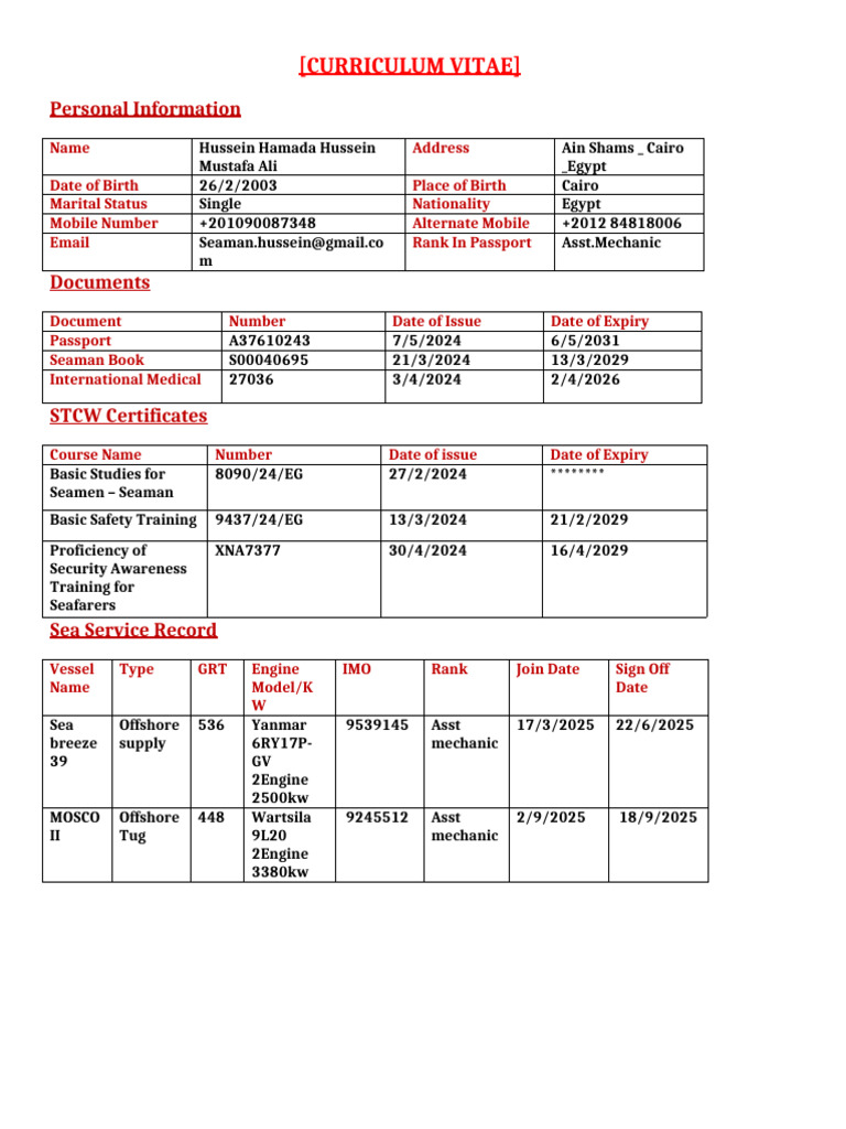 Hussein CV Ats | PDF