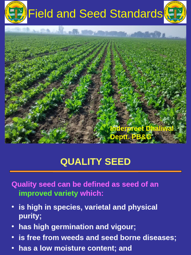 Quality Seed Production Standards | PDF | Rice | Wheat