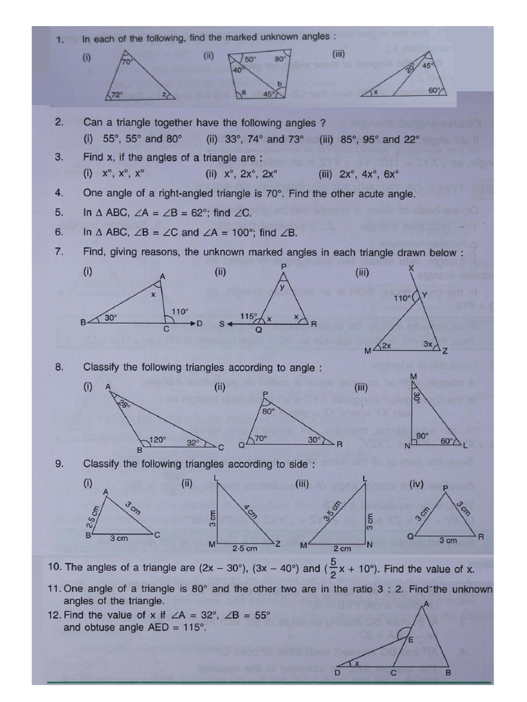 ICSE Class 6 - Triangles Exam 01 | PDF