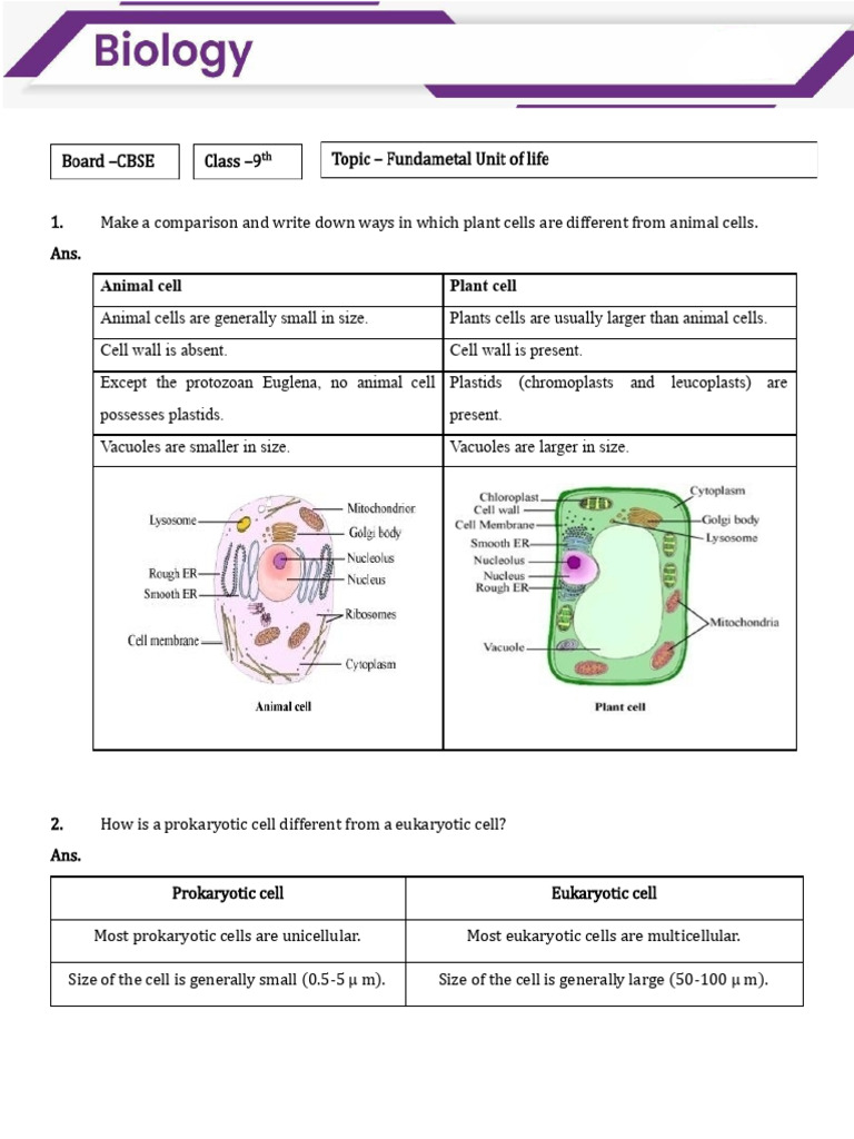 9thCBSE The Fundamental Unit of Life NCERT Solution | PDF | Cell ...