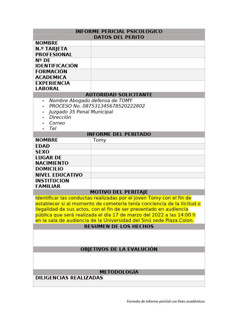 Formato Informe Pericial | PDF