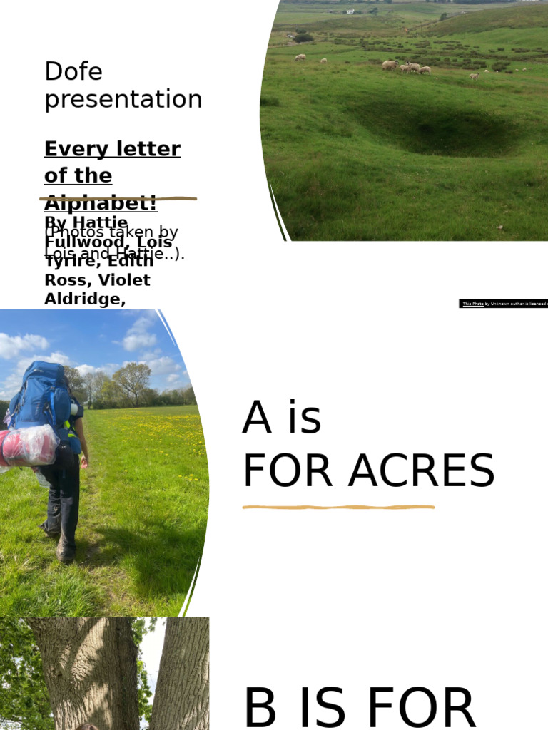 Dofe Presentation | PDF