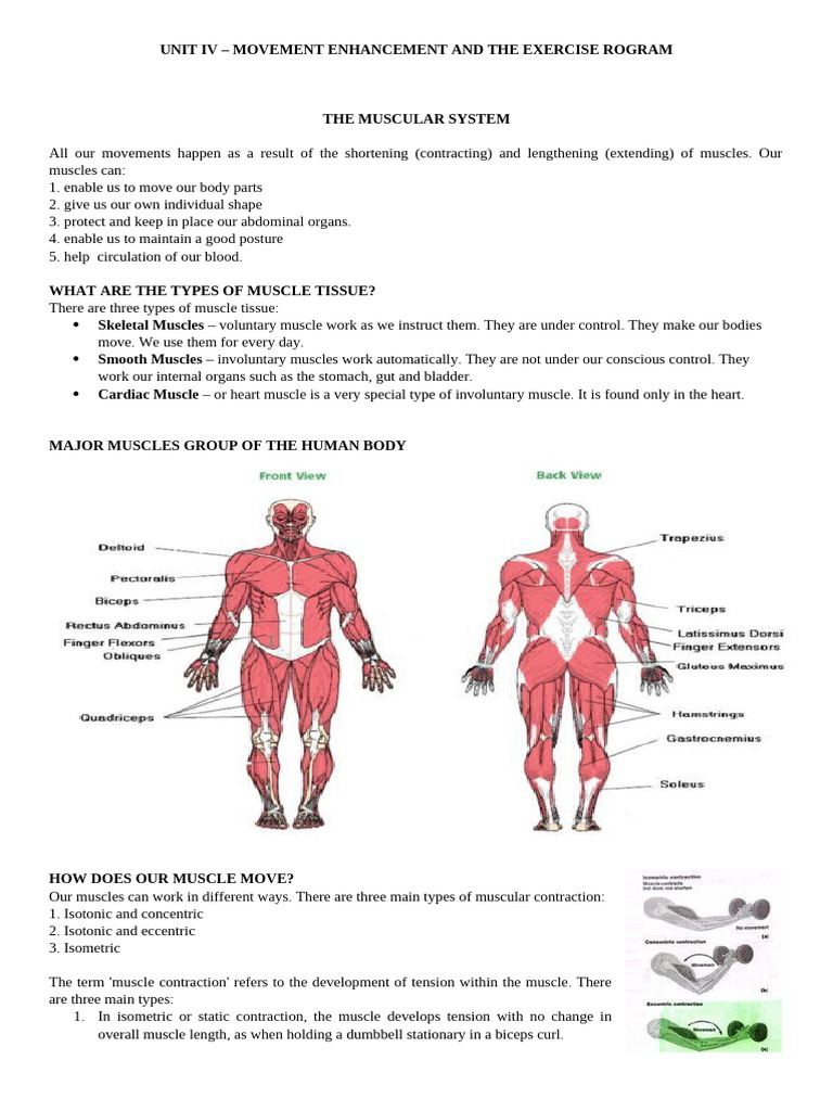 Midterm Pe 1 Week 5 6 Module 1 | PDF | Muscle | Muscle Contraction