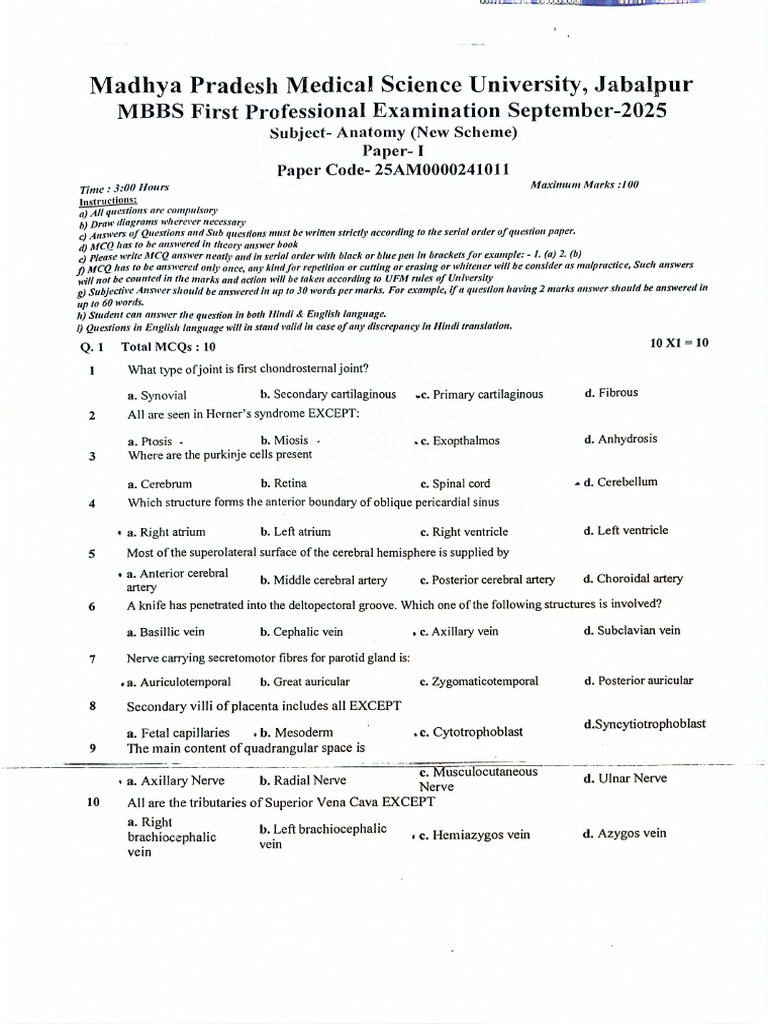 Mpmsu 2024-25 Paper | PDF