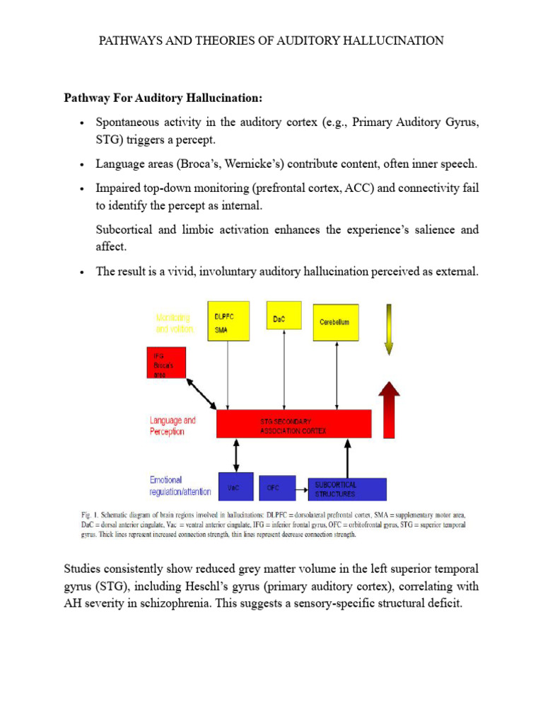 Understanding Auditory Hallucinations | PDF | Auditory System ...