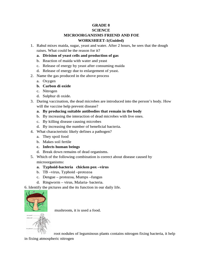 Grade 8 Science Term 1 Worksheets With Answers | PDF | Sound | Combustion