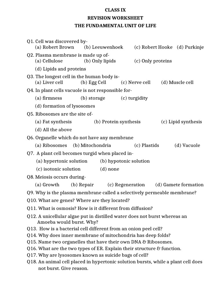 Class Ix Cell Ws | PDF