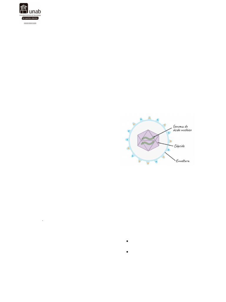 Taller Vectores | PDF | Virus | Adenoviridae