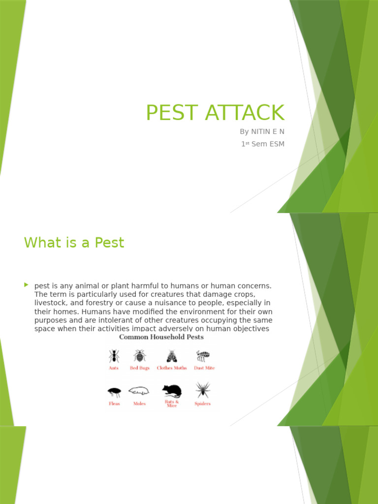 Pest Attack | PDF | Pest (Organism) | Organisms