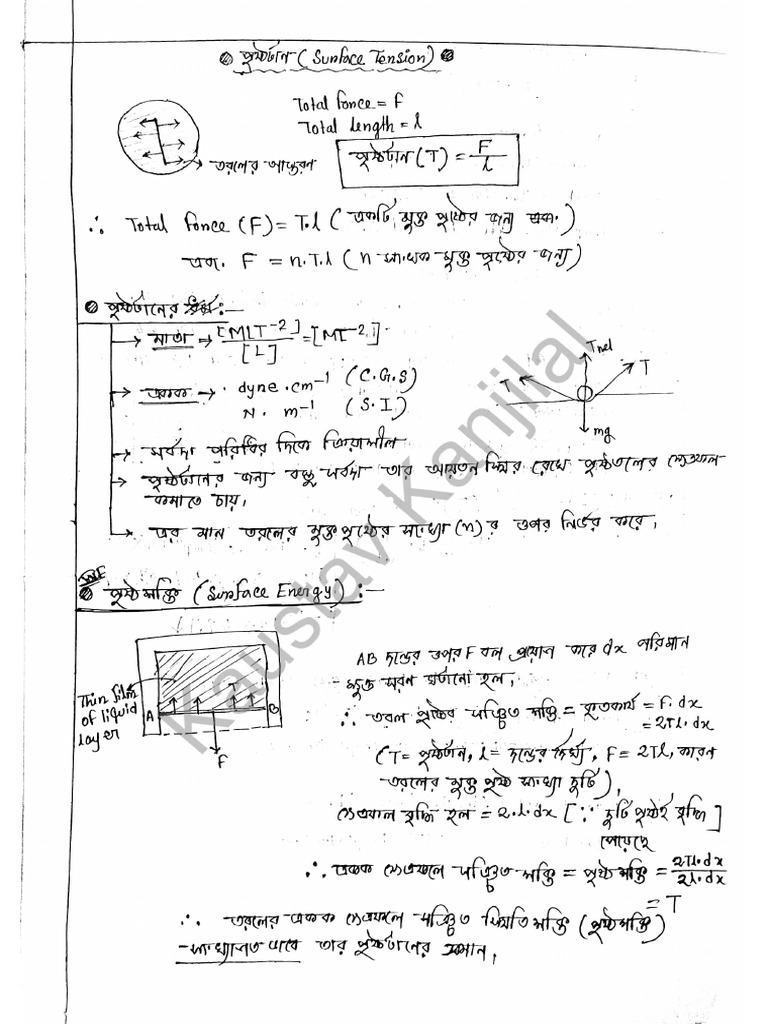 Surface Tension (Day 1-2) | PDF