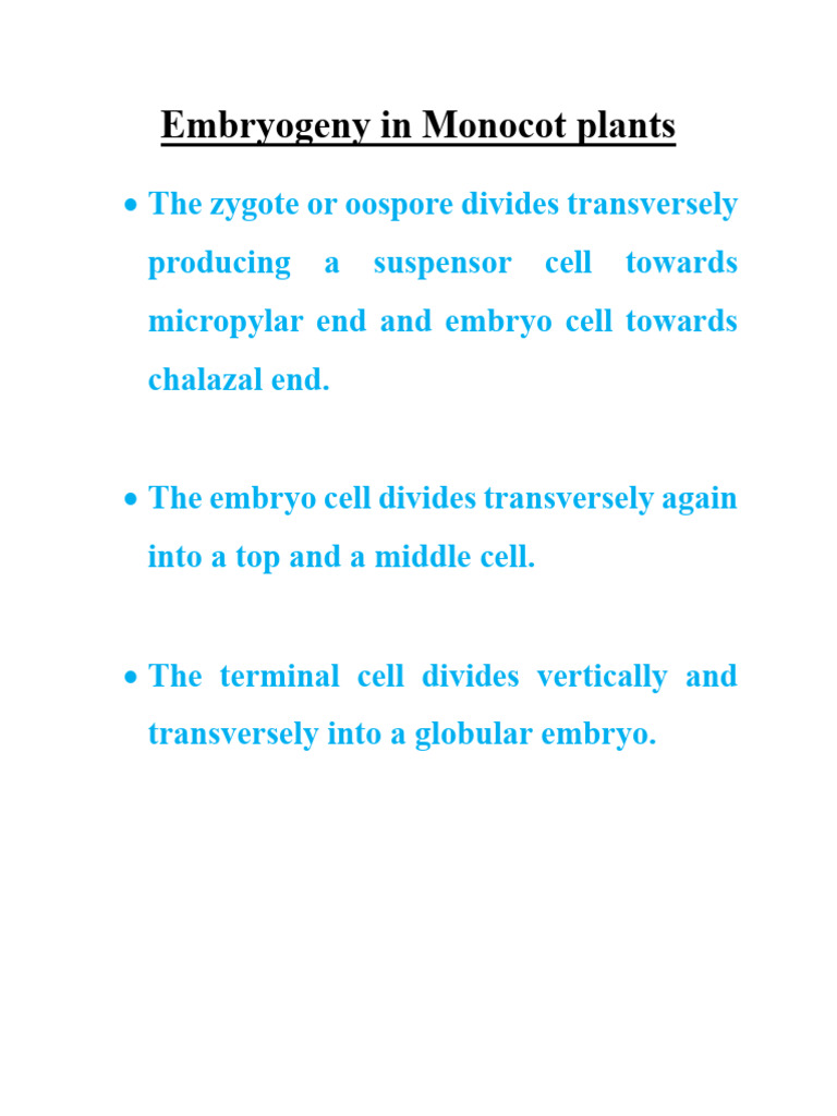 Embryogeny Part (B) Monocot | PDF