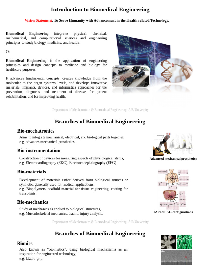 Branches of BME | PDF | Biomedical Engineering | Biology