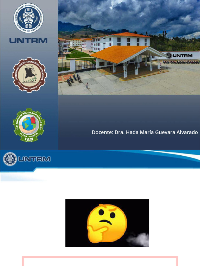 CLASE 4 (1) | PDF | Análisis FODA