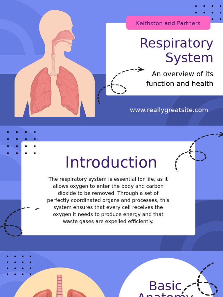 Blue and Pink Modern Respiratory System Presentation | PDF ...
