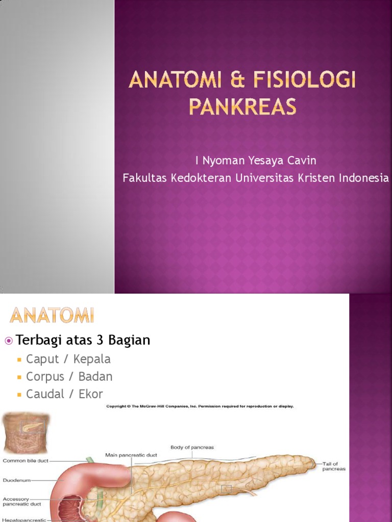 Anatomi & Fisiologi Pankreas | PDF