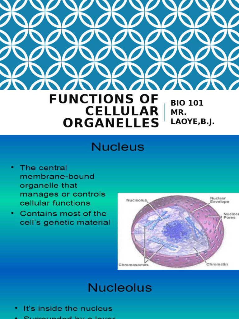 Functions of Cellular Organelles-1 | PDF