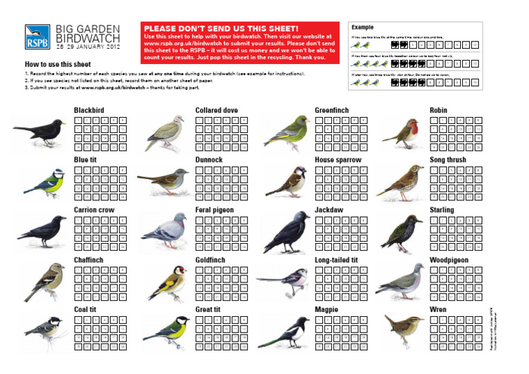 Bird Watch Sheet | PDF | Birdwatching | Birds Of Eurasia
