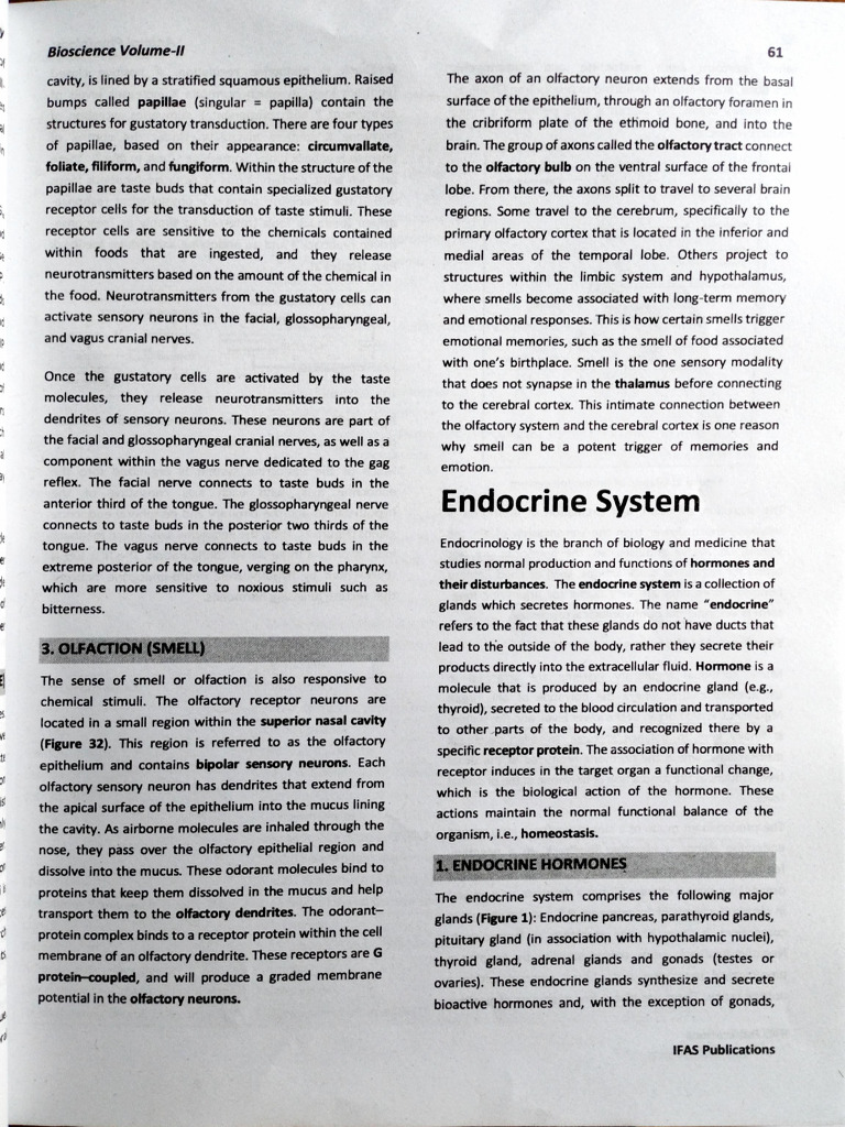 Endocrinology | PDF