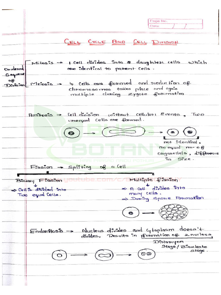 11 10 Cell Cycle and Cell Division Class Notes by BHP Sir | PDF