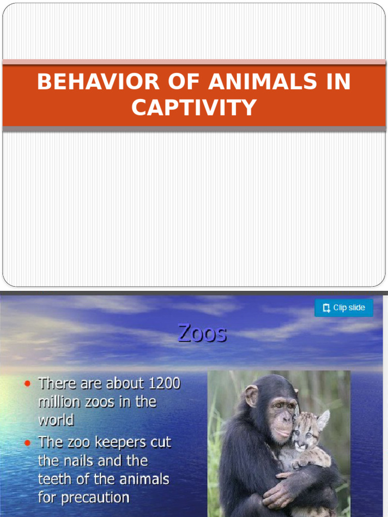 Behavior of Animals in Captivity | PDF