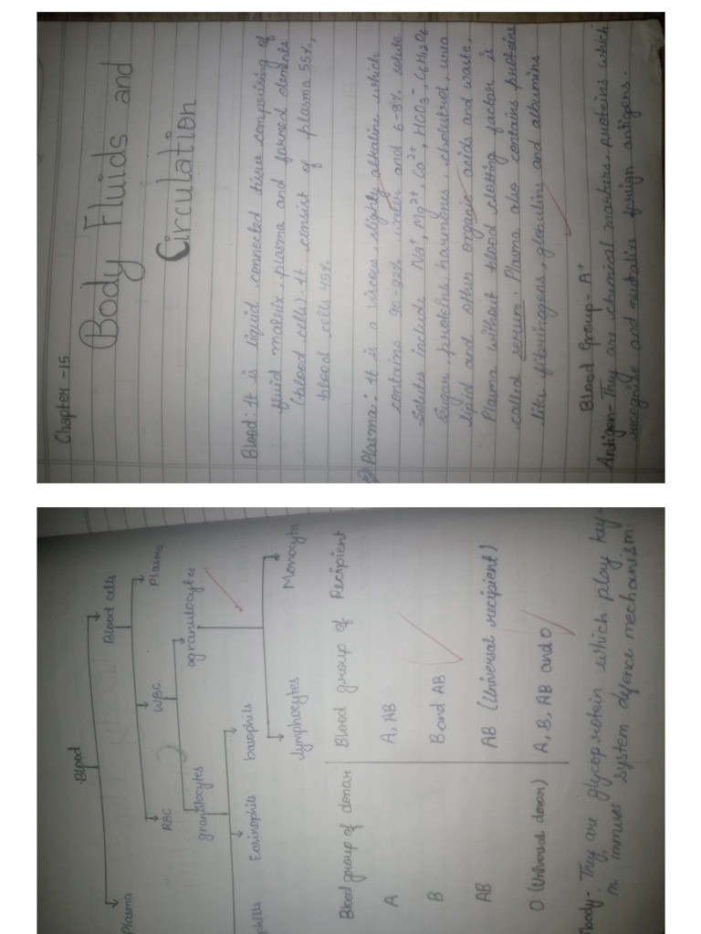 Body Fluids and Circulation Handwritten Notes | PDF
