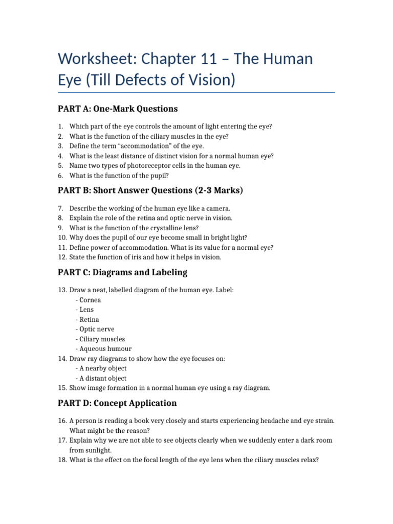 Human Eye Worksheet: Vision & Defects | PDF