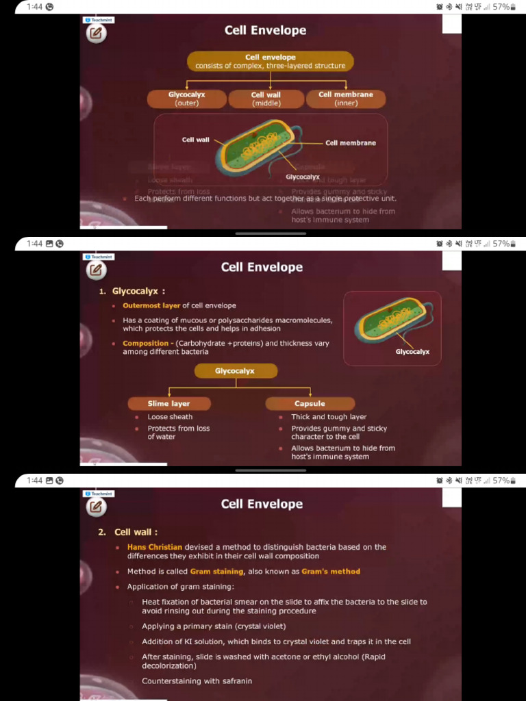 Bio Cell Ending Part 3 | PDF