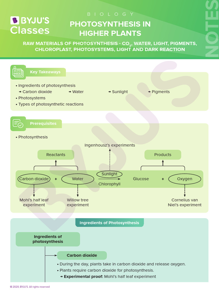 Introduction To Photosynthesis | PDF | Photosynthesis | Chlorophyll