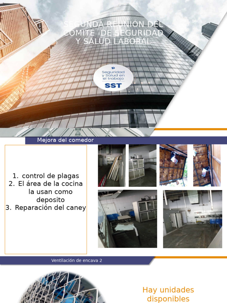 Reunion Del Comite-2 | PDF