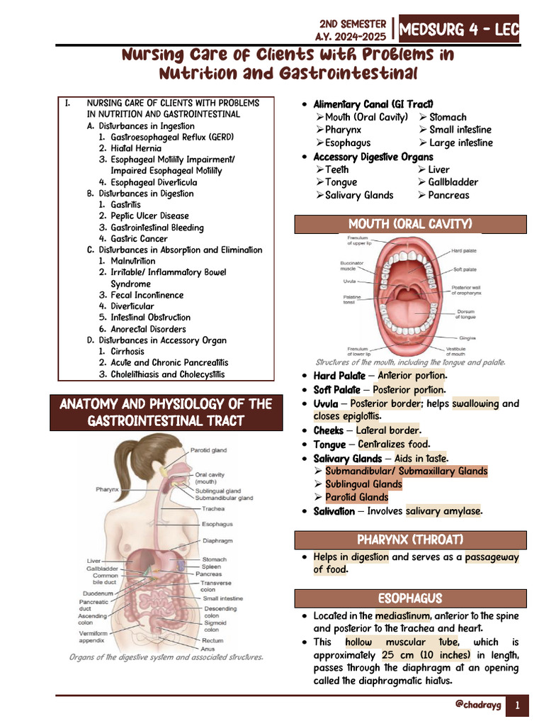 MedSurg 4 - LEC Transes (PRELIMS) | PDF | Gastroesophageal Reflux Disease | Esophagus