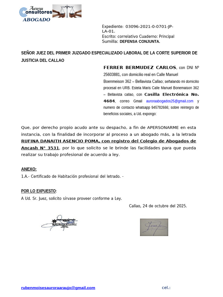 Defensa Conjunta Ferrer Bermudez Carlos para Continuacion de ...