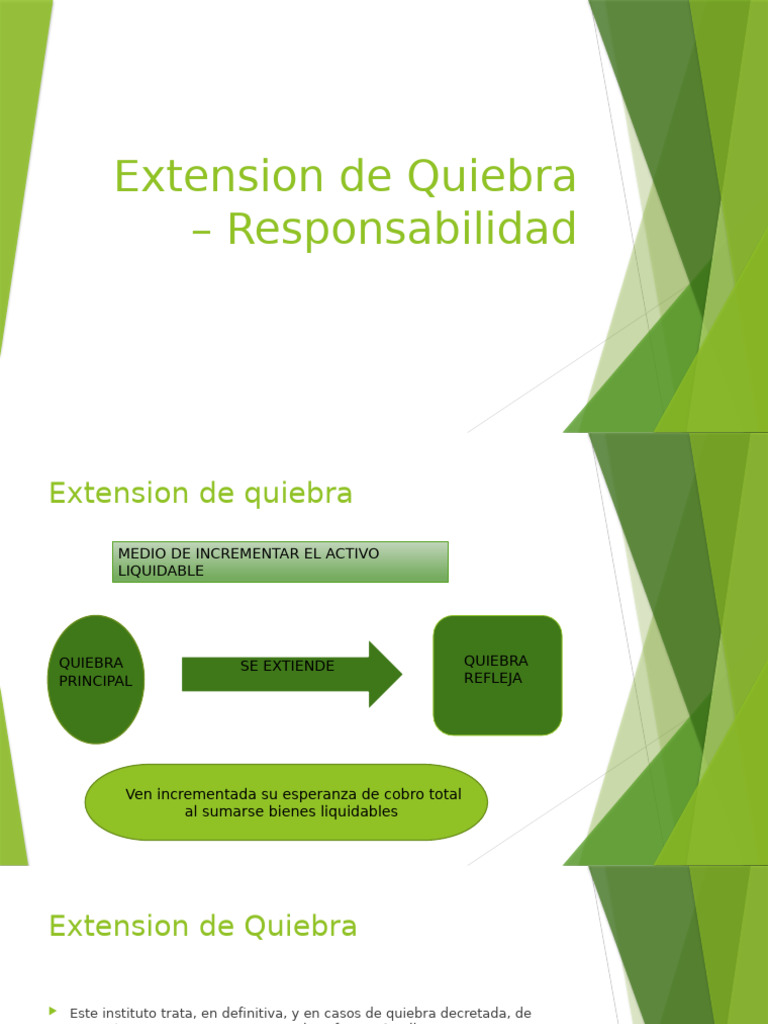 Extensión de Quiebra: Responsabilidad y Efectos | PDF | Bancarrota ...